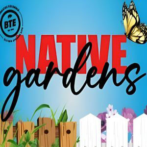 Native Gardens-McAninch Arts Center- Chicago