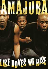 Amajuba: Like Doves We Rise-Chicago Shakespeare Theater- Chicago
